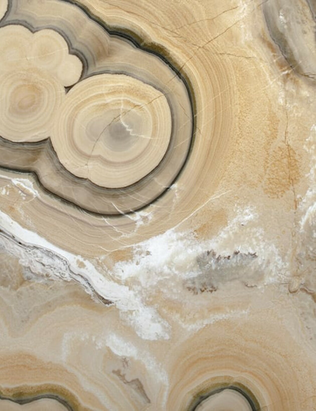 The large Favorita collection of natural stone slabs and blocks