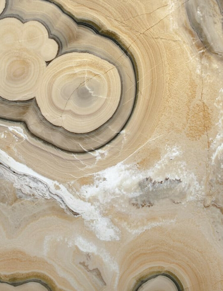 The large Favorita collection of natural stone slabs and blocks