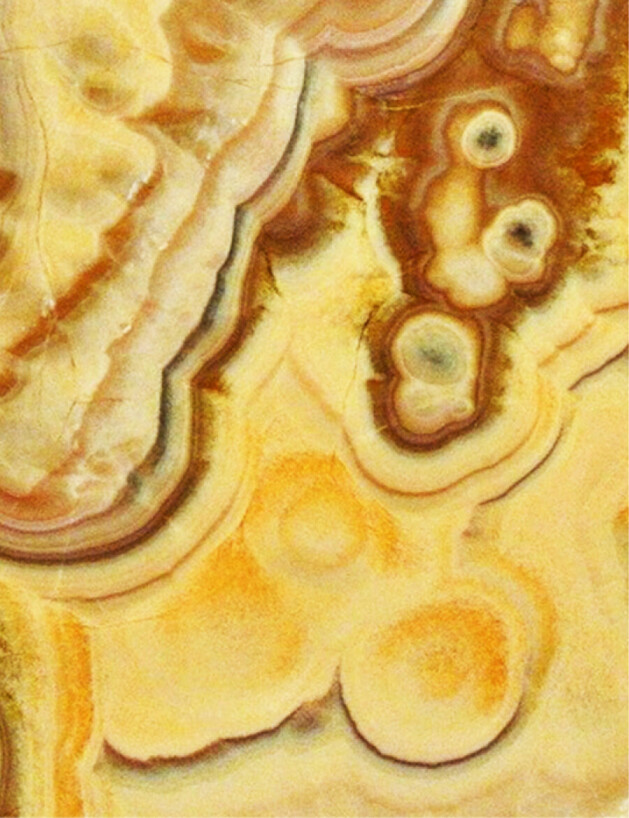 The large Favorita collection of natural stone slabs and blocks