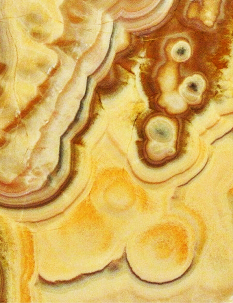 The large Favorita collection of natural stone slabs and blocks